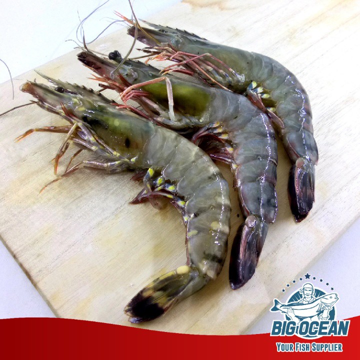 Jual Udang Tiger|Black tiger prawn JUMBO / Udang Windu size 25-30 @1kg ...