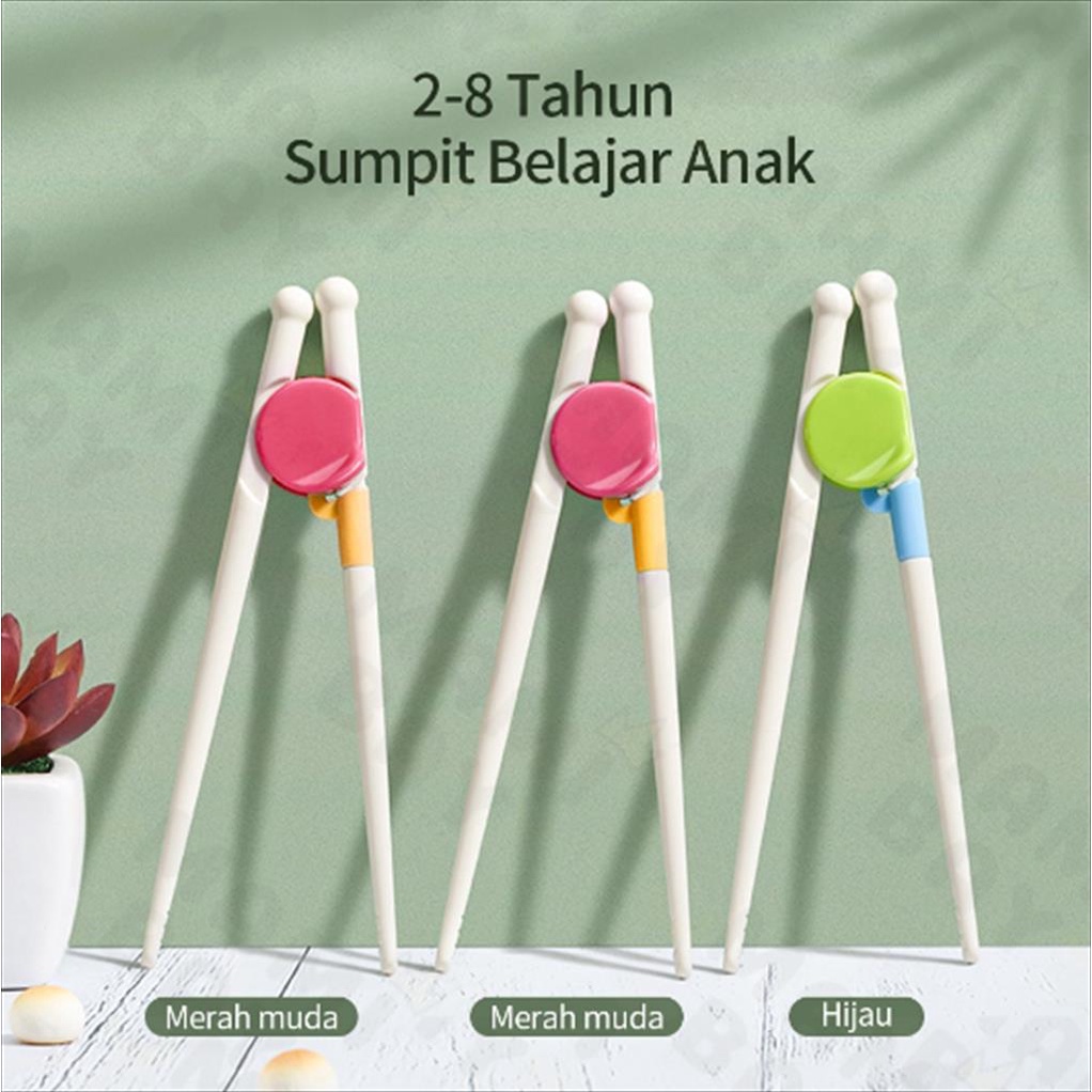 Jual Sumpit Anak Belajar Makan Sumpit Training Anak 2-8 Tahun | Shopee ...