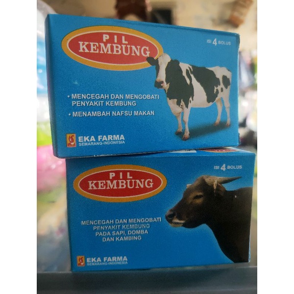 Jual pil kembung sapi kambing domba-eka farma | Shopee Indonesia