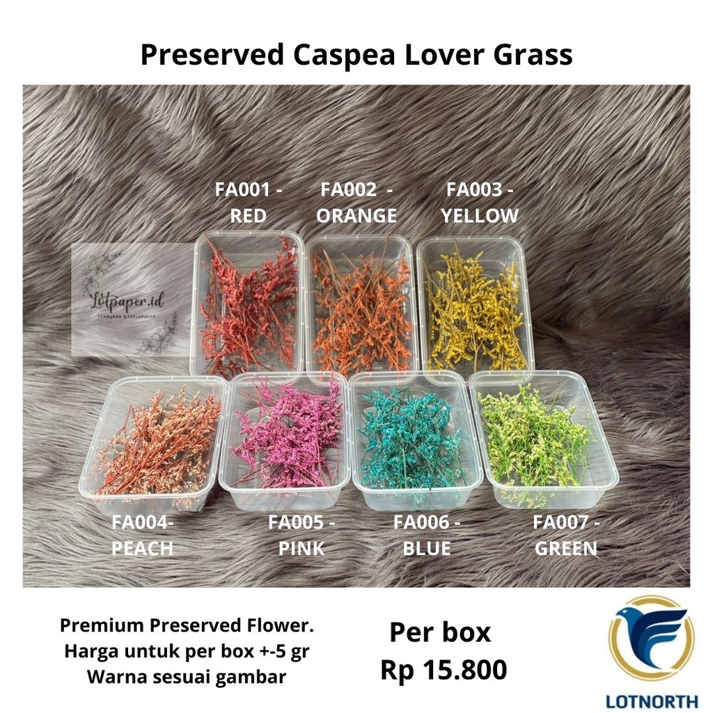 Jual Preserved Caspea Lovergrass Bunga Kering Asli Natural | Shopee ...