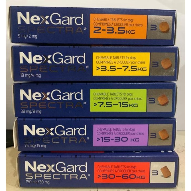 Jual Nexgard Spectra Obat Kutu Anjing / Demodex M (7.5-15 Kg) | Shopee ...