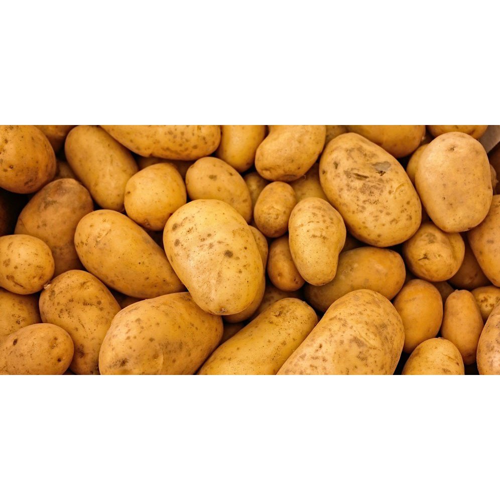 Jual Kentang Segar Lokal 500gr - 1Kg | Fresh Local Potato | Shopee ...