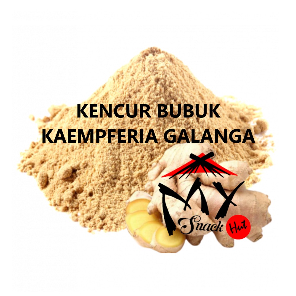 Jual KENCUR BUBUK 25GR - PURE AROMATIC GINGER KAEMPFERIA SAND GALANGA ...