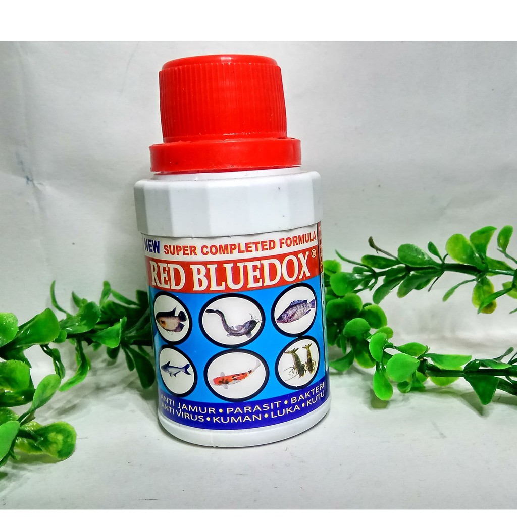 Jual RED BLUEDOX 125ml OBAT IKAN ANTI JAMUR PARASIT BAKTERI KUMAN DAN ...