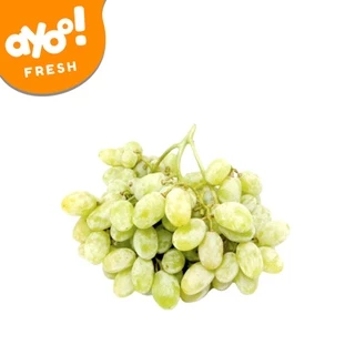 Jual Anggur 1 Kg Terlengkap & Harga Terbaru Juni 2024 | Shopee Indonesia