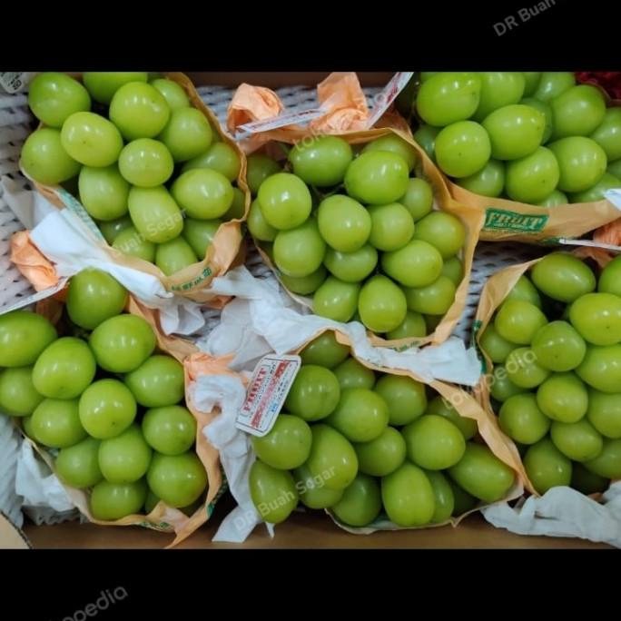 Jual JAPANESE SHINE MUSCAT | ANGGUR SHINE MUSCAT ORIGINAL 1BOX ...