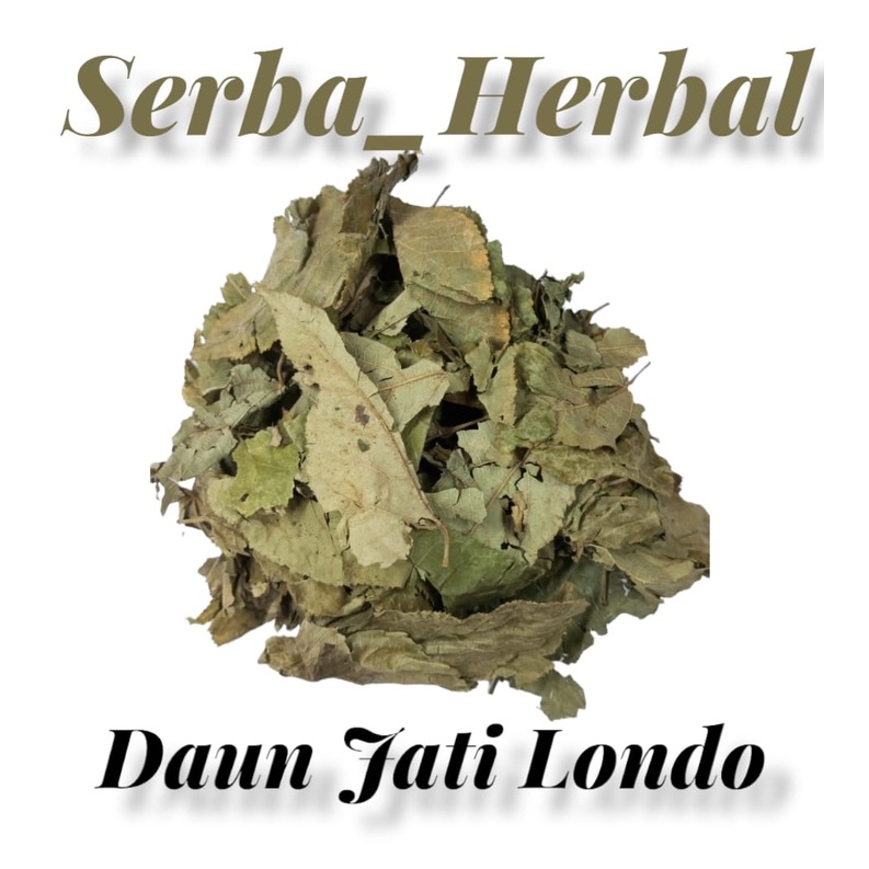 Jual Daun Jati Belanda kering 500gram Jati Londo Kering | Shopee Indonesia