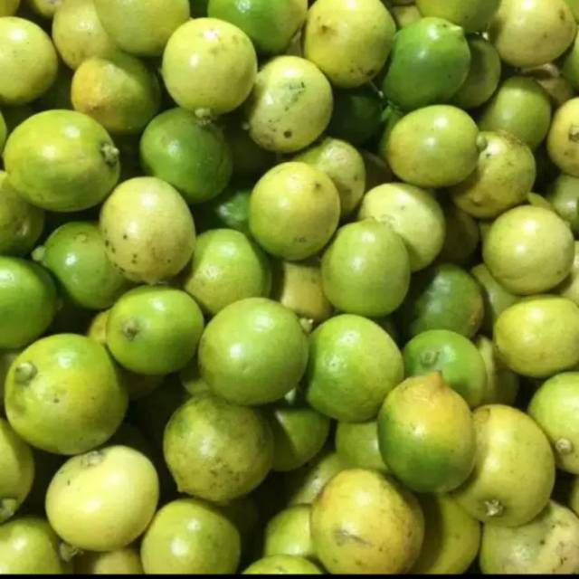 Jual Jeruk lemon lokan 500g | Shopee Indonesia