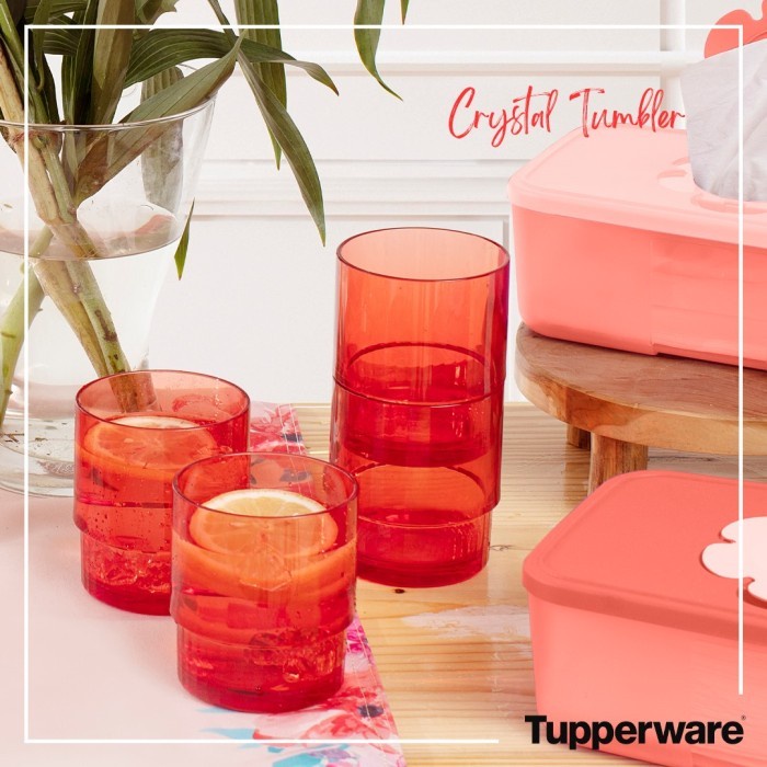 Jual (AFW) Tupperware Gelas Crystal Tumbler 290ml 4 pcs | Shopee Indonesia