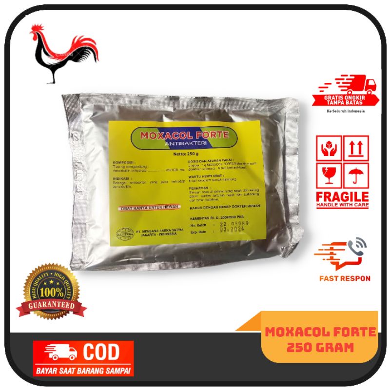 Jual MOXACOL FORTE 250 GRAM MENSANA (OBAT ANTI BAKTERI PADA PENYAKIT ...