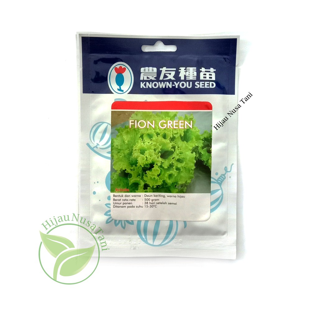 Jual Benih Selada FION GREEN 10 gr - Known You Seed - Selada keriting ...