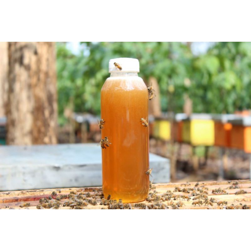 Jual MADU MURNI 700gr (Raw Honey) | Shopee Indonesia