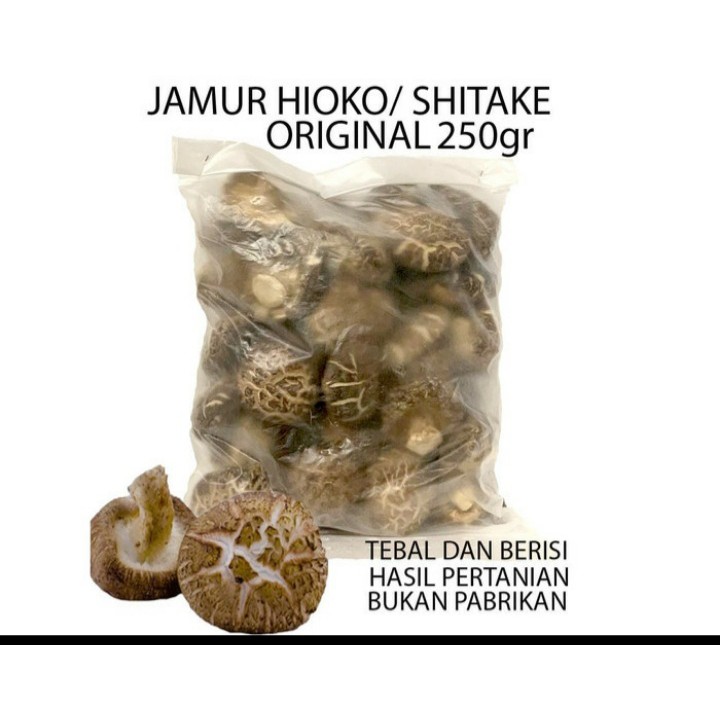 Jual JAMUR HIOKO/ SHITAKE KERING ORIGINAL | Shopee Indonesia