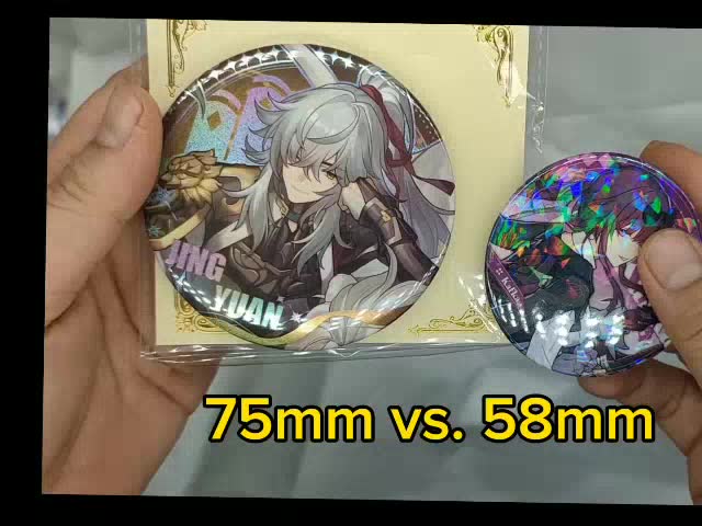 Jual StarRail pin BESAR 75mm Blade Firefly Aventurine Robin Firefly ...