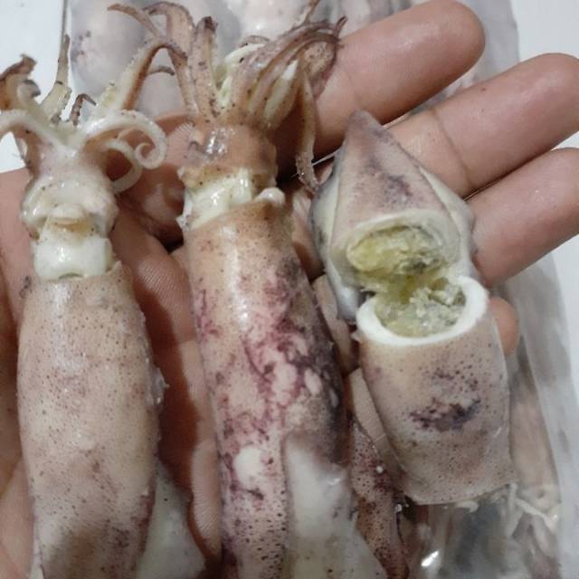 Jual CUMI TELUR ASIN KERING (500 GR) | Shopee Indonesia