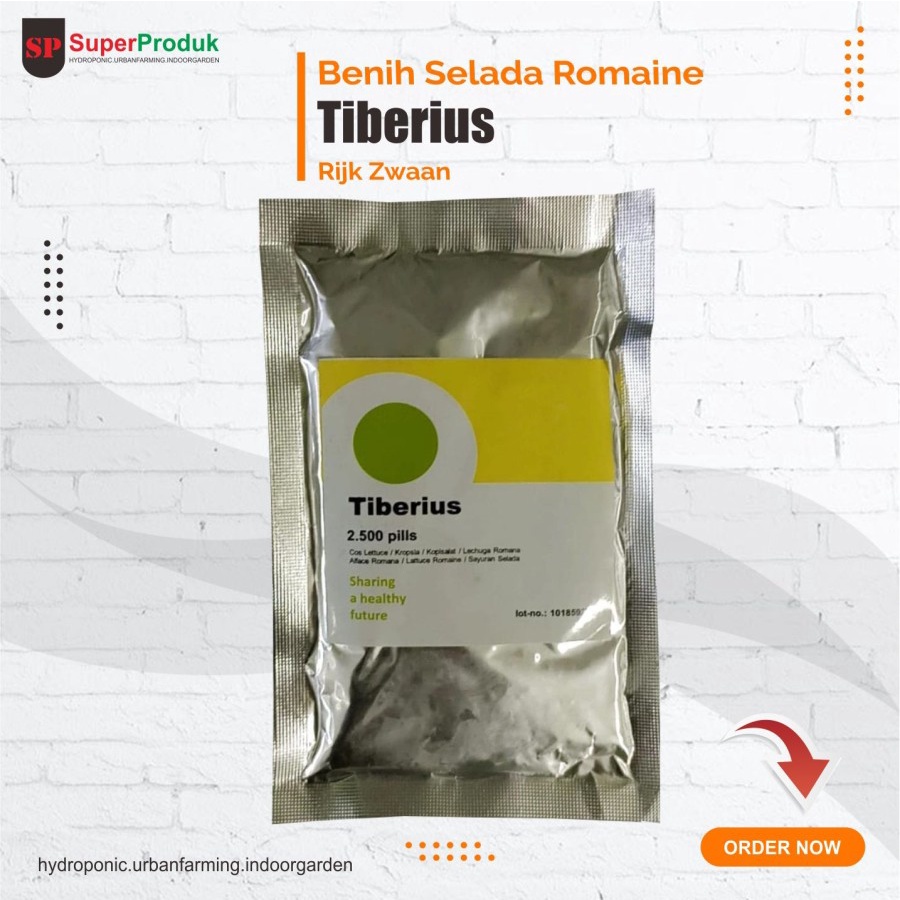 Jual Benih Selada Romaine Tiberius RZ Rijk Zwaan isi 2500 pills ...