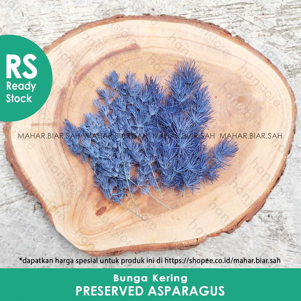 Jual RS 5 Gram Preserved Asparagus / Asparagus Bintang / Asparagus ...