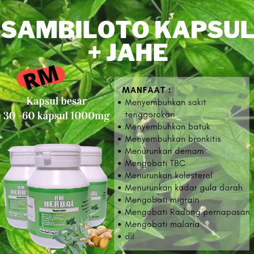 Jual RM HERBAL KAPSUL SAMBILOTO + JAHE MERAH || KAPSUL JAHE MERAH OBAT ...