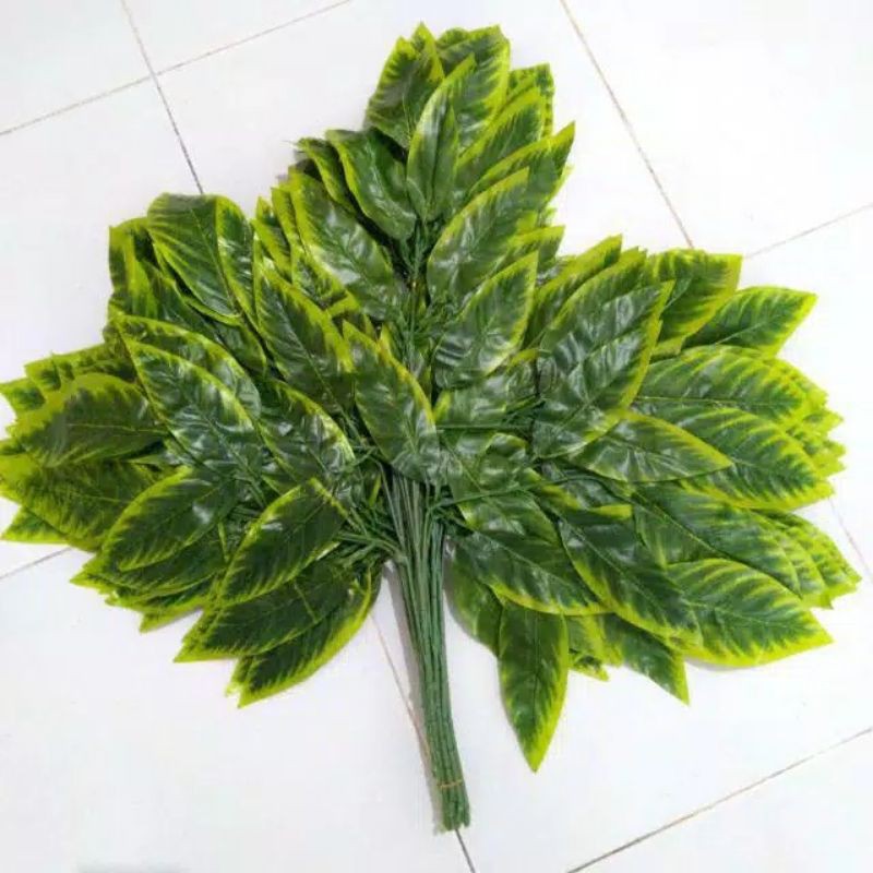 Jual DAUN DEKOR / DAUN MANGGA | Shopee Indonesia