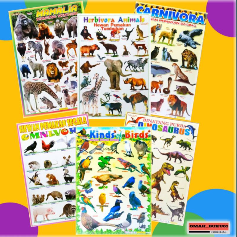 Jual POSTER DINDING TEMPEL EDUKASI ANAK POSTER DINDING ANAK | Shopee ...