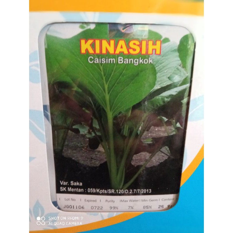 Jual Benih Sawi Caisim Bangkok Kinasih 25gr | Shopee Indonesia