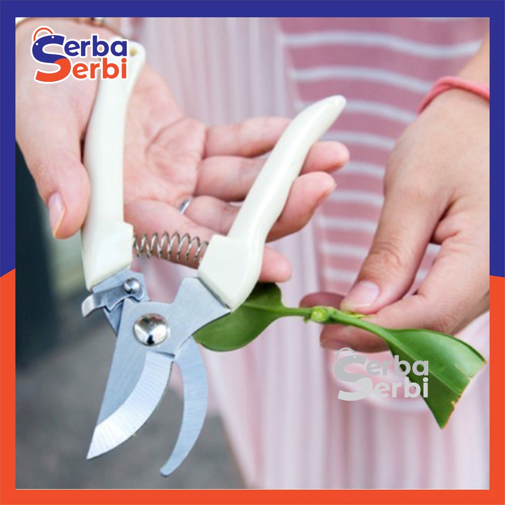 Jual SerbaSerbiGrosir - Gunting Dahan Ranting Gunting Tanaman Tajam ...