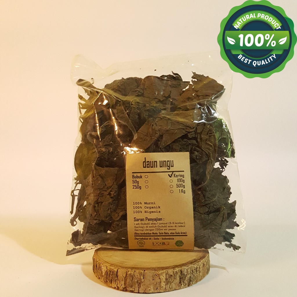 Jual DAUN UNGU KERING 50 GRAM - Graptophyllum Pictum - MURNI - JSR ...