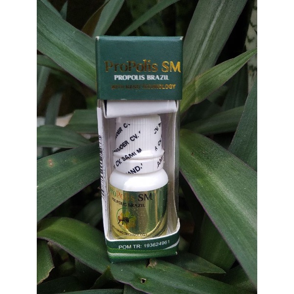 Jual PROPOLIS BRAZIL SM 100% ORIGINAL | Shopee Indonesia