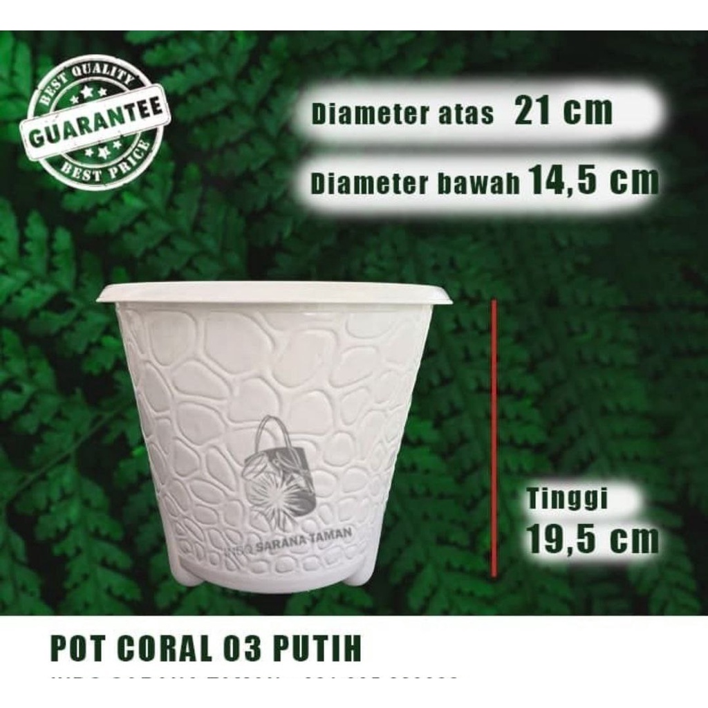 Jual POT CORAL 03 PUTIH Pot Tanaman Pot Bunga Pot Motif Pot Plastik ...