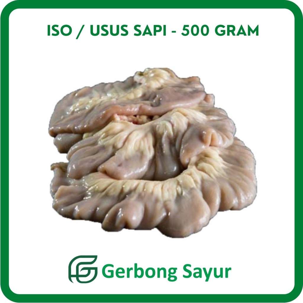 Jual Iso / Usus Sapi Segar - 500 Gram | Shopee Indonesia