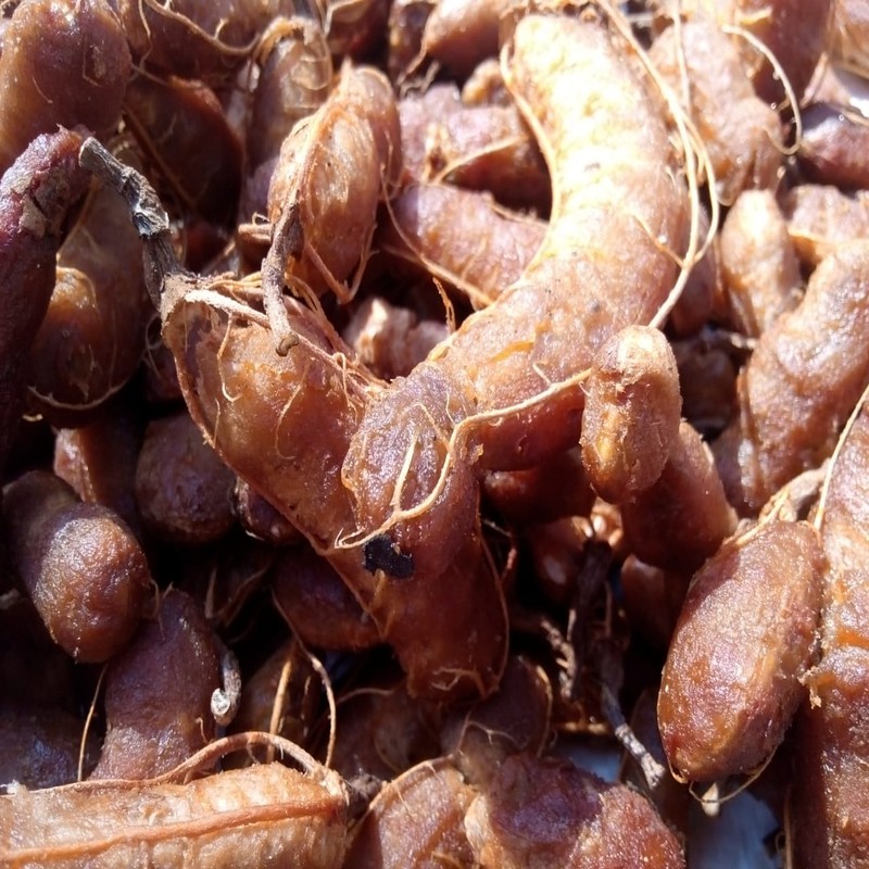 Jual Asam Jawa High Quality 250 gr | Shopee Indonesia