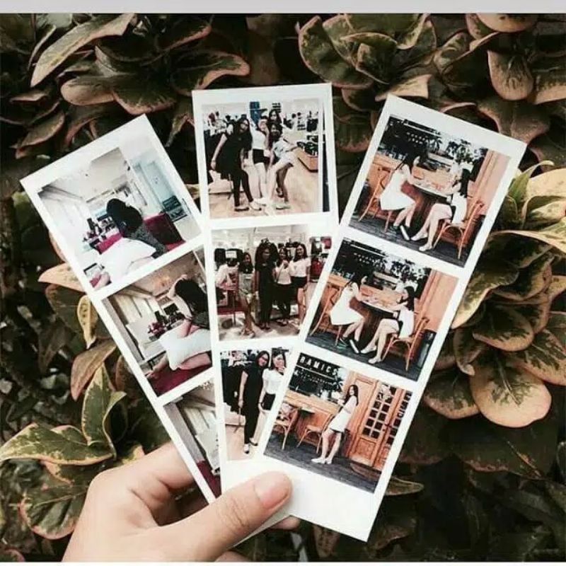 Jual POLAROID STRIP | Shopee Indonesia