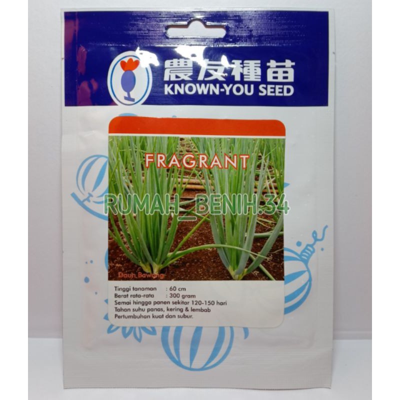 Jual Benih Loncang / Daun Bawang Fragrant 10 Gram @Cap Known You Seed ...