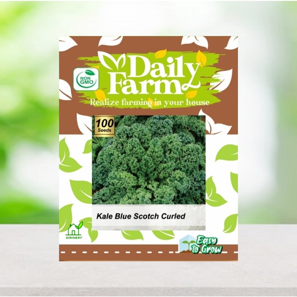 Jual Benih Bibit Sayur KALE BLUE SCOTCH CURLY - Daily Farm - Kemasan ...