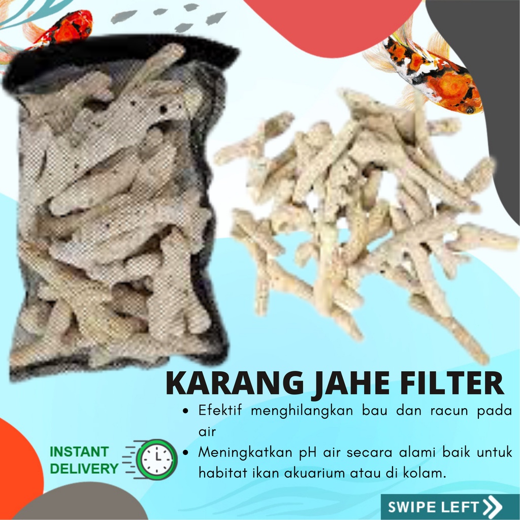 Jual KARANG JAHE FILTER AQUARIUM AQUASCAPE BATU KARANG JAHE FILTER ...