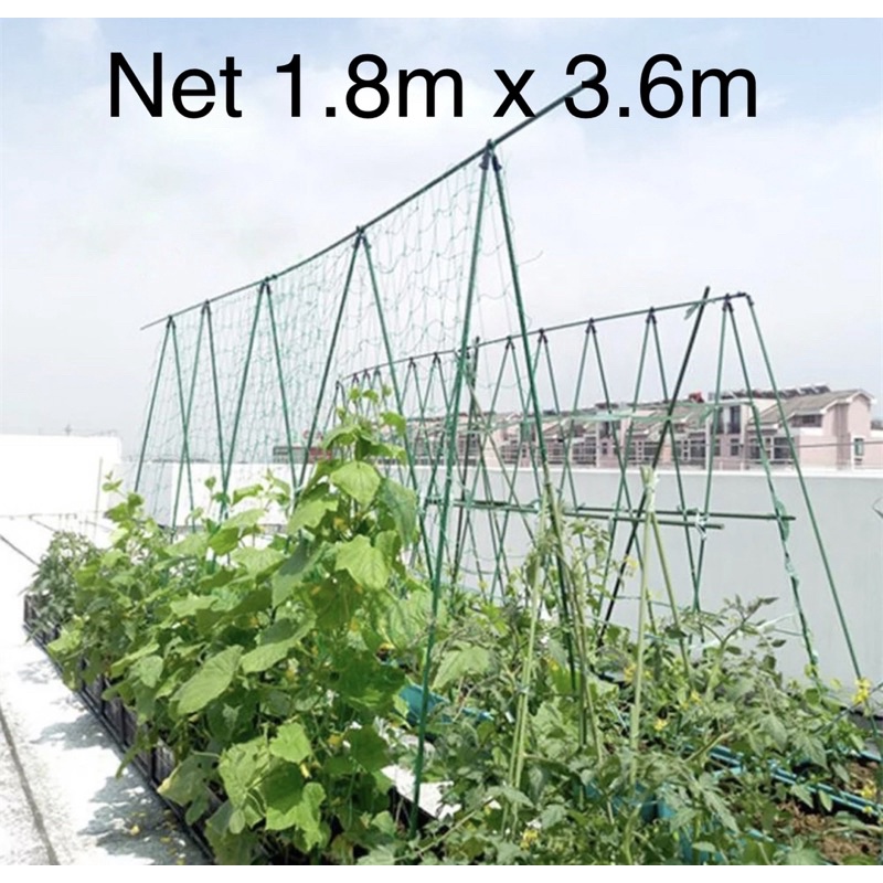 Jual Tali Jaring Net Rambatan 1.8 X 3.6 Meter Tanaman Rambat Bunga Anggur Sayuran Garden Green ...