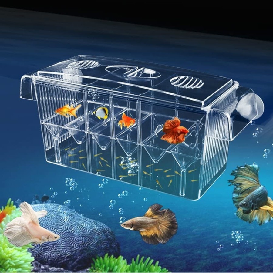 Jual Aquarium Box Acrylic Breeding Box Internal XL Guppy Molly Fish ...