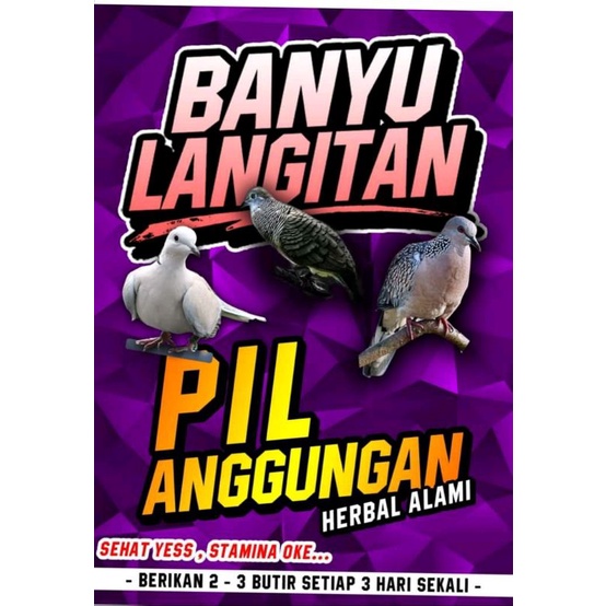 Jual pil perkutut banyu langitan anggungan | Shopee Indonesia