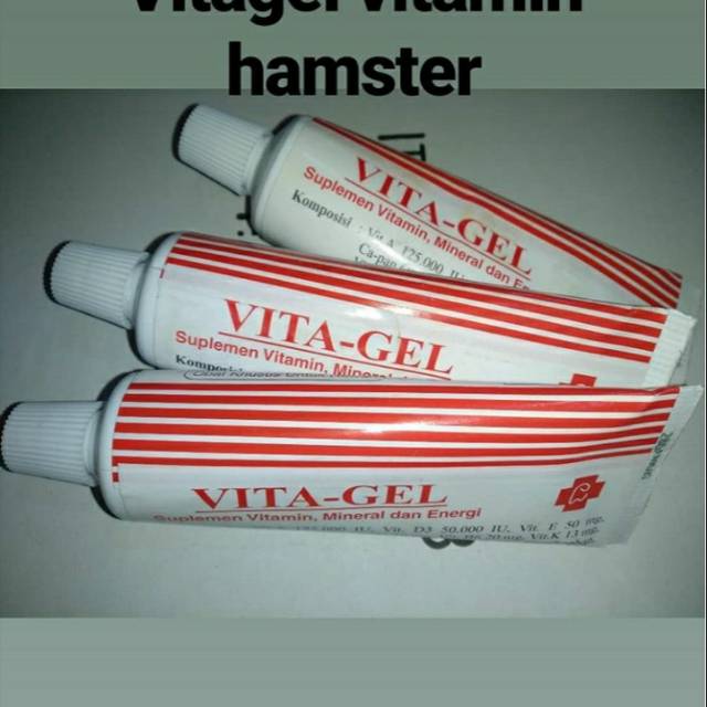 Jual Vitagel / Vita gel vitamin hamster gerbil kucing anjing | Shopee Indonesia