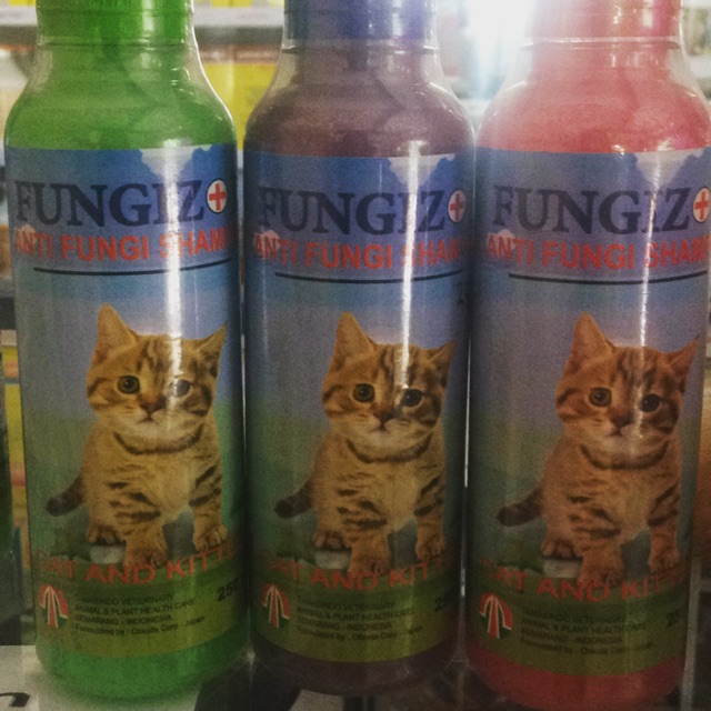 Jual Sampo kucing FUNGIZOLE untuk kucing jamuran | Shopee Indonesia