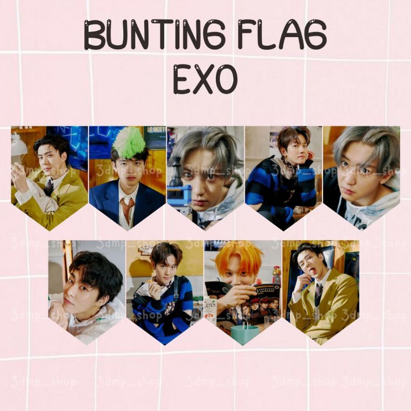 Jual Bunting Flag Bendera EXO Obsession don't fight the feelings ...