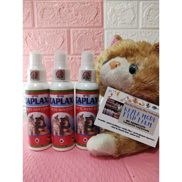 Jual Caplax Spray Anti Caplax dan Kutu pada Kucing dan Anjing | Shopee ...