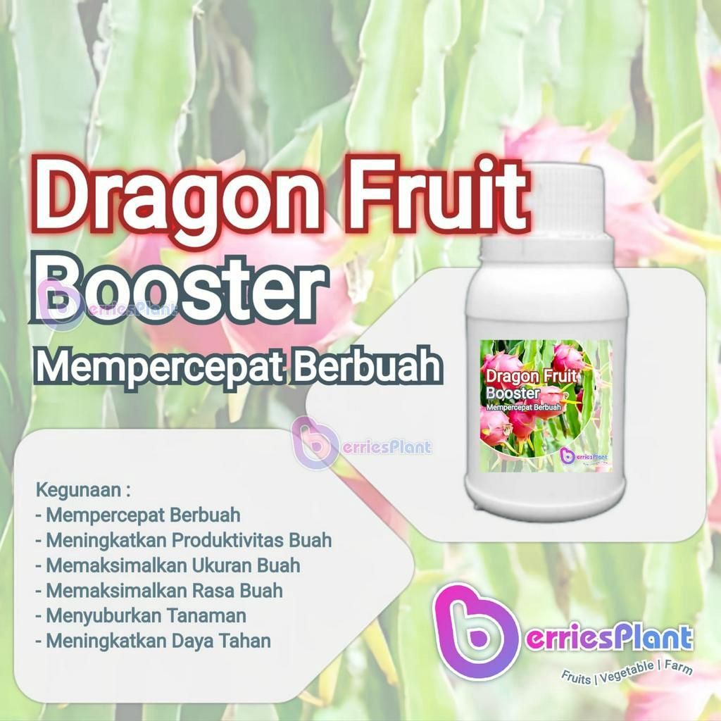 Jual Booster Buah Naga SUPER | Mempercepat Berbuah | Perangsang Bunga ...