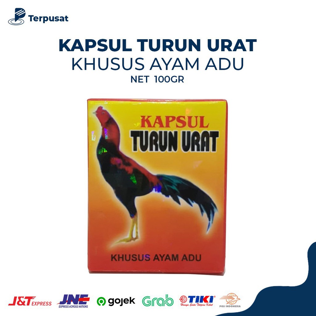 Jual Kapsul Turun Urat isi 4 Kapsul Obat Ayam khusus Ayam Adu | Shopee ...