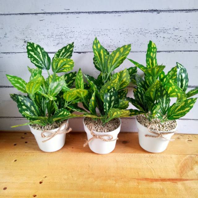 Jual Bunga Plastik - Daun Plastik - Bunga Artificial - Daun Mini ...