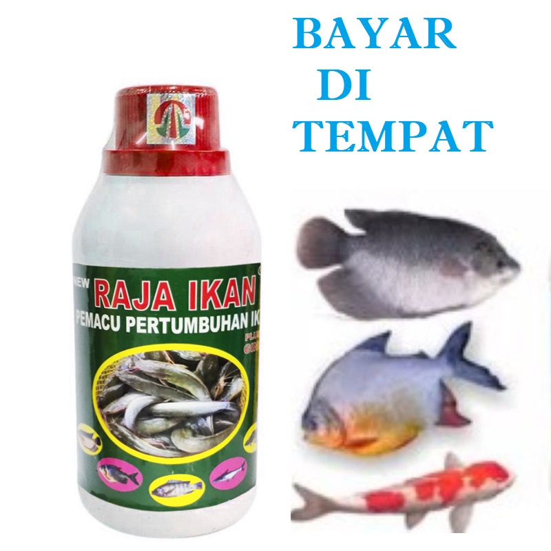 Jual RAJA IKAN VITAMIN IKAN PEMACU PERTUMBUHAN IKAN LELE NILA MAS BAWAL MUJAIR AMPUH | Shopee ...
