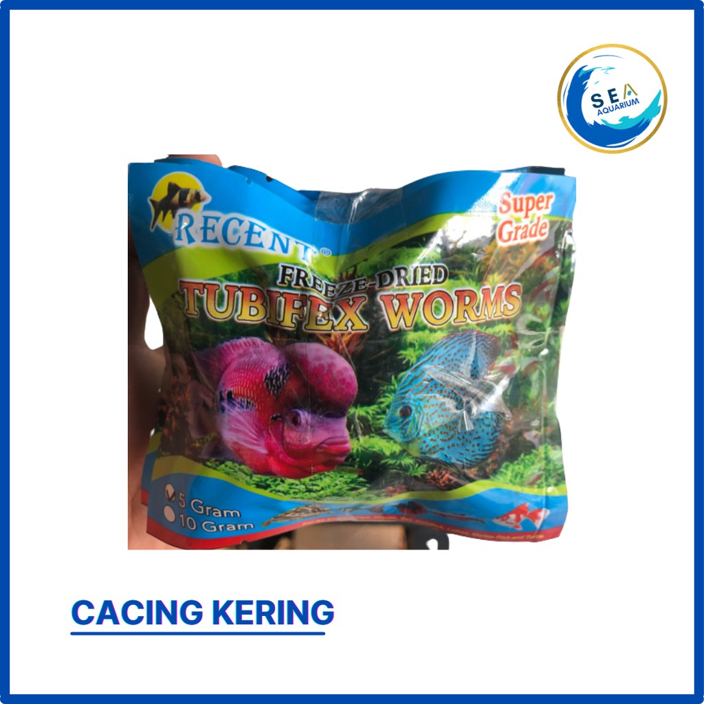 Jual A1W Tubifex Worms Cacing Kering 5gr Makanan Ikan Aquarium Cacing ...