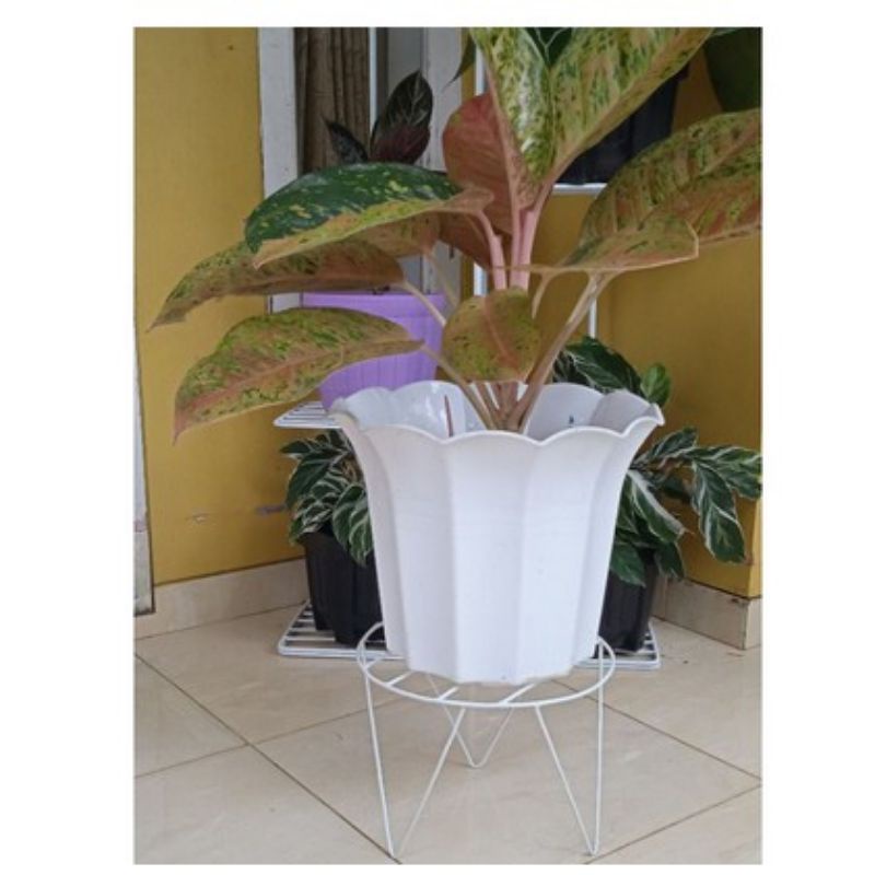 Jual standin pot ram 18x20 rak pot besi minimalis | Shopee Indonesia