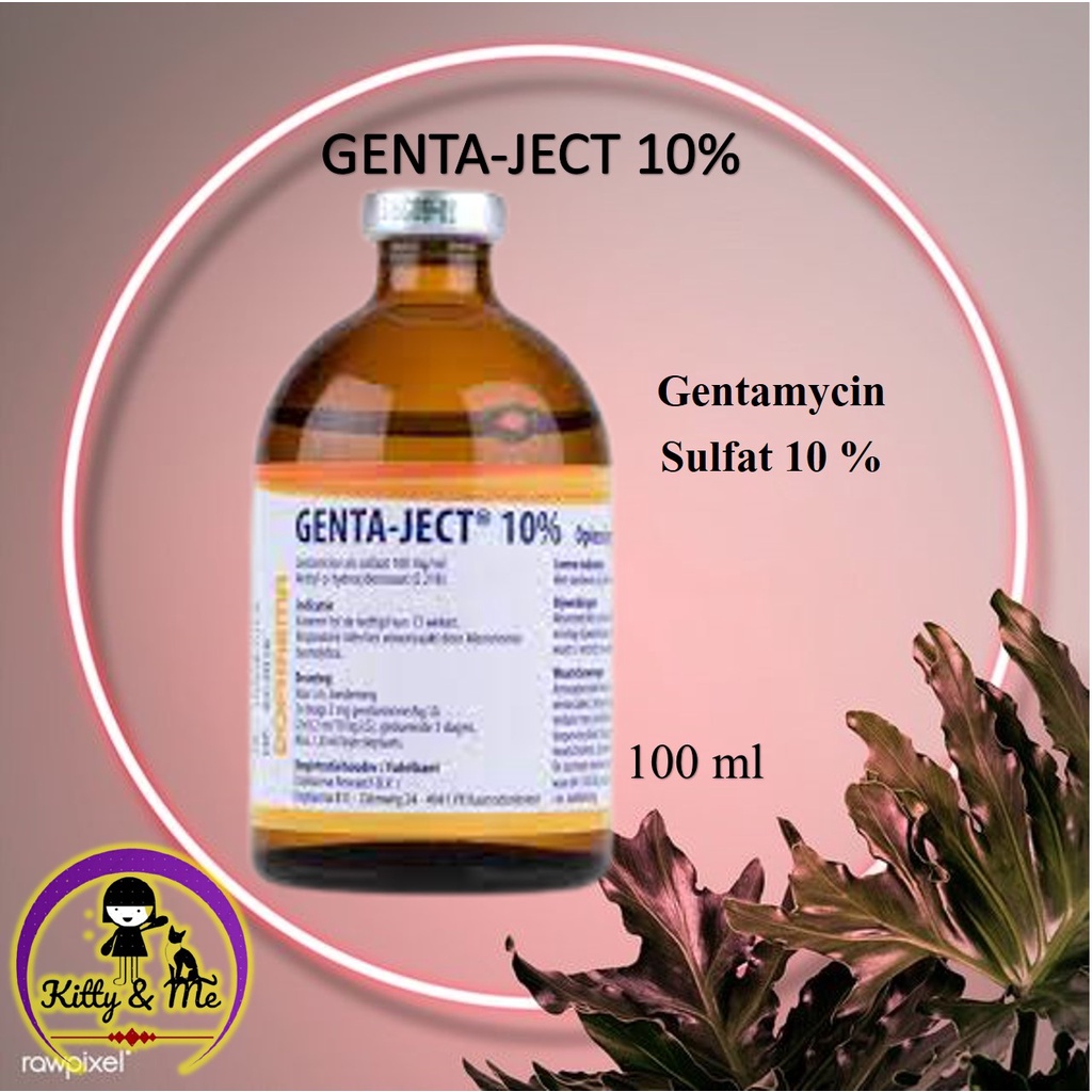 Jual GENTA-JECT 10% Gentamycin 100ml | Shopee Indonesia