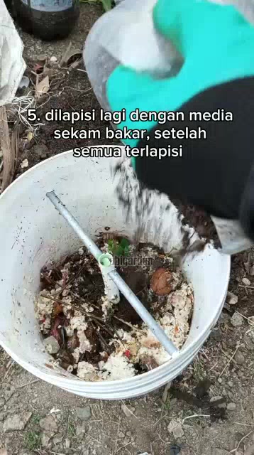 Jual Paket Komposter Ember Tumpuk Pengolahan Sampah Organik Kompos ...